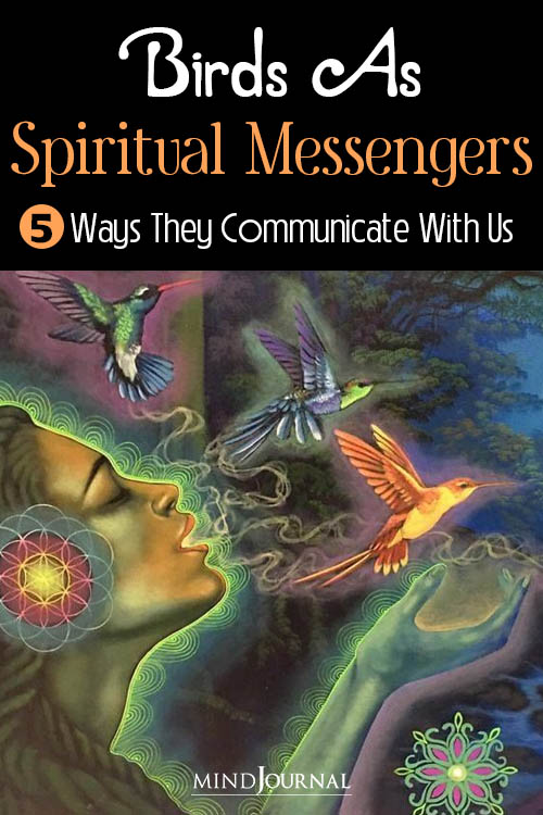 Birds As Spiritual Messengers Communicate Via 5 Clear Ways
