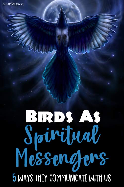 Birds As Spiritual Messengers Communicate Via 5 Clear Ways
