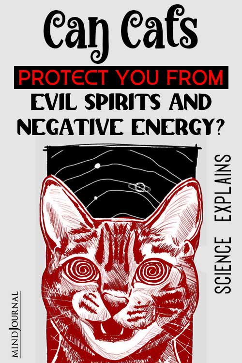 Can Cats Protect You From Evil Spirits And Negative Energy? – Myth or ...