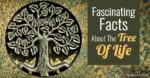 Fascinating Facts About The Tree Of Life