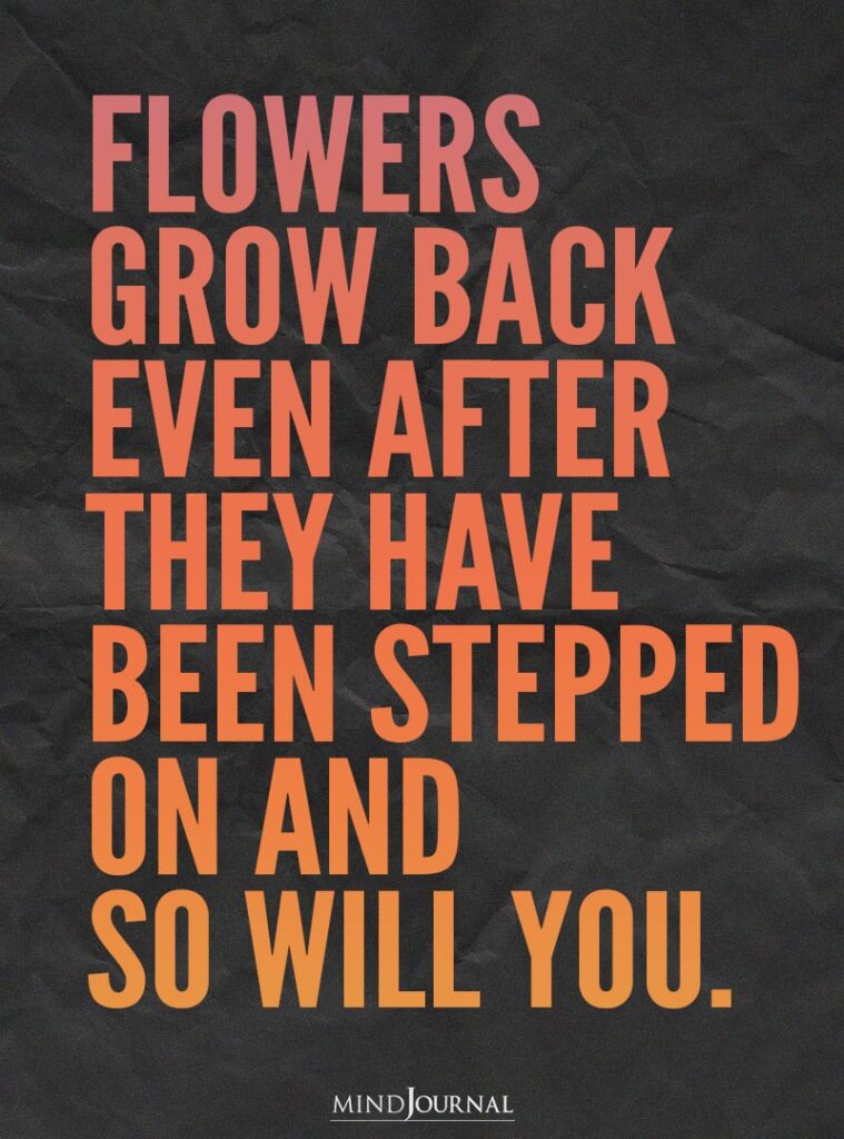Flowers Grow Back Even After They Have Been Stepped On.