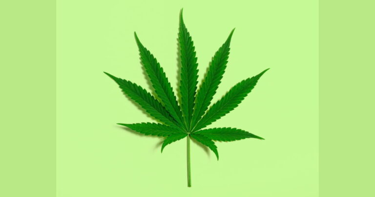 Study Finds Elevated Levels of Heavy Metals in Blood of Marijuana Users ...