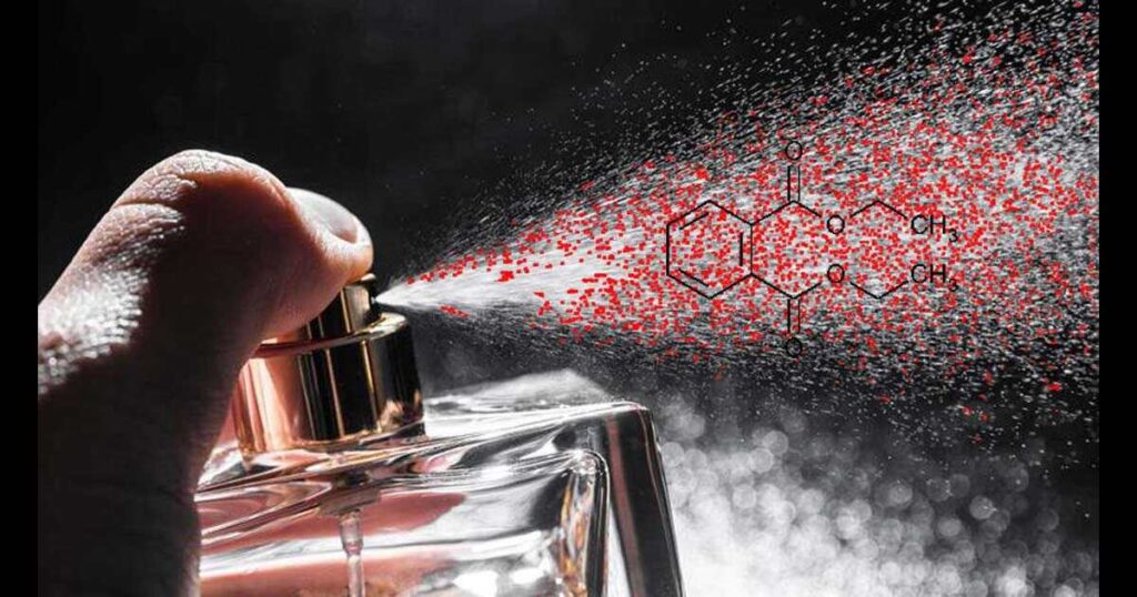 Phthalate Exposure: What You Need To Know And How To Protect Yourself ...