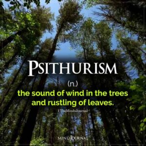 Psithurism The Sound Of Wind In The Trees