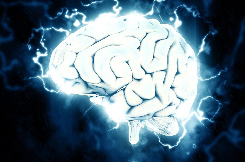 What is a Seizure and How Can It Affect the Brain? - The Minds Journal
