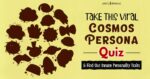 Fun Cosmos Persona Quiz: 9 Cosmos Persona All Types