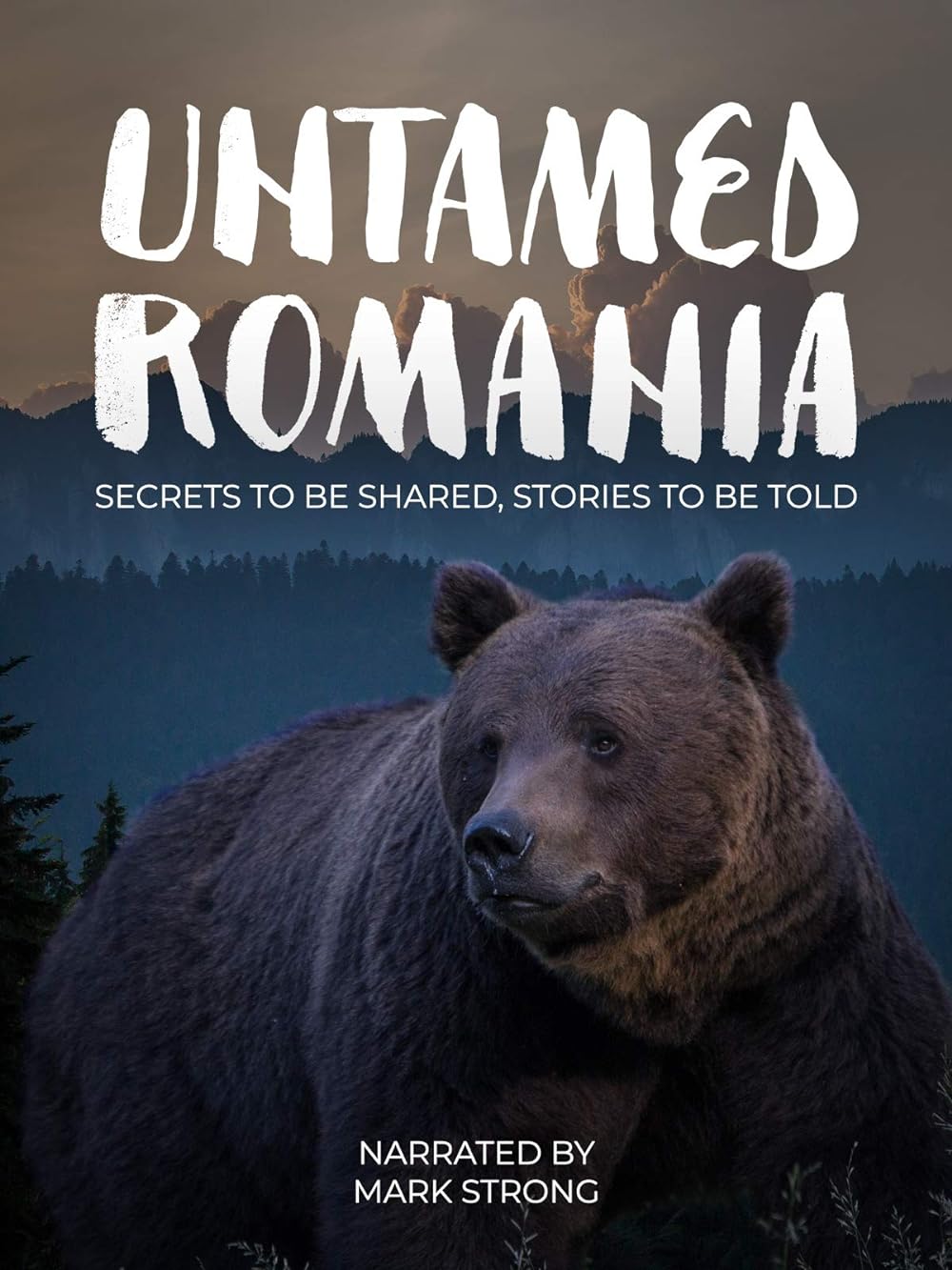 Wildlife Wonders: 25 Best Animal Documentaries On Netflix