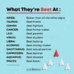 What The Zodiac Signs Are Best At