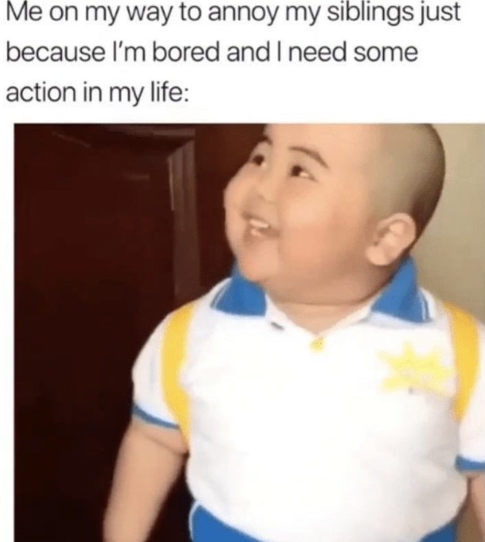 30+ Happy National Siblings Day Memes Funny