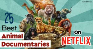 Wildlife Wonders: 25 Best Animal Documentaries On Netflix