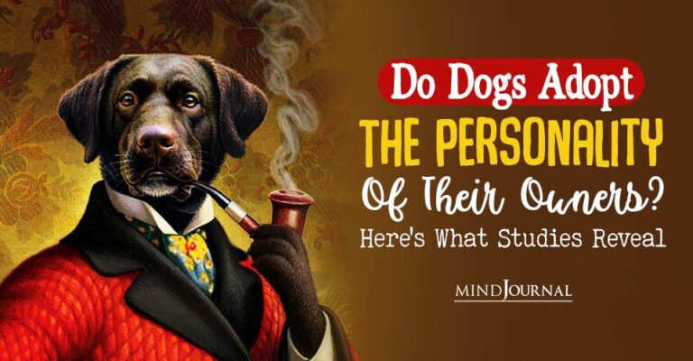 Do Dogs Adopt The Personality Of Their Owners? The Surprising Link ...