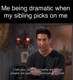 30+ Happy National Siblings Day Memes Funny