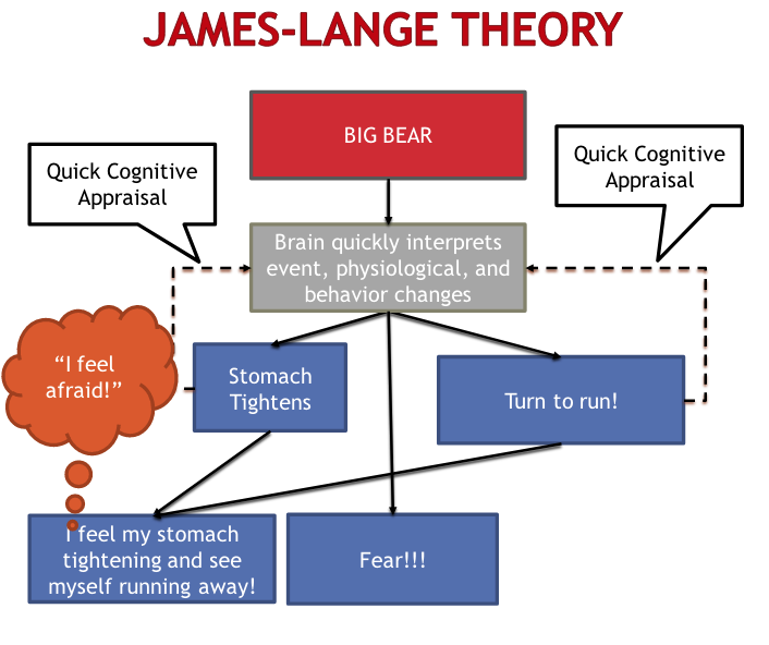 The James Lange Theory Of Emotion: 7 Mind-Body Connection Insights