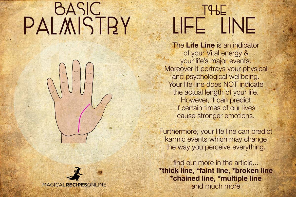 Palm Reading Guide: 11 Things Life Line Says About Your Future