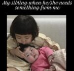 30+ Happy National Siblings Day Memes Funny