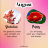 24 Interesting Birth Month Flowers For Your Zodiac Sign