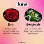 24 Interesting Birth Month Flowers For Your Zodiac Sign