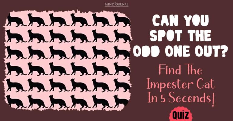 Can You Spot The Odd One Out? Find The Odd Cat In 5 Seconds!