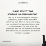 Relationship Quotes: Losing Respect For Someone