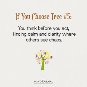 Tree Personality Test: 6 Interesting Options: Pick A Tree!